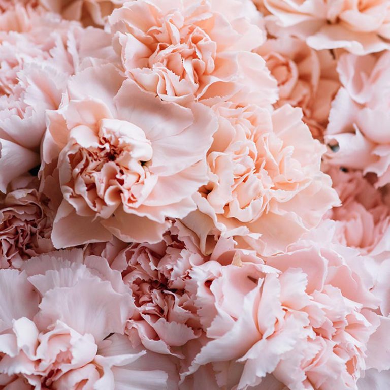 Single Wreath Easel – Every Blooming Thing