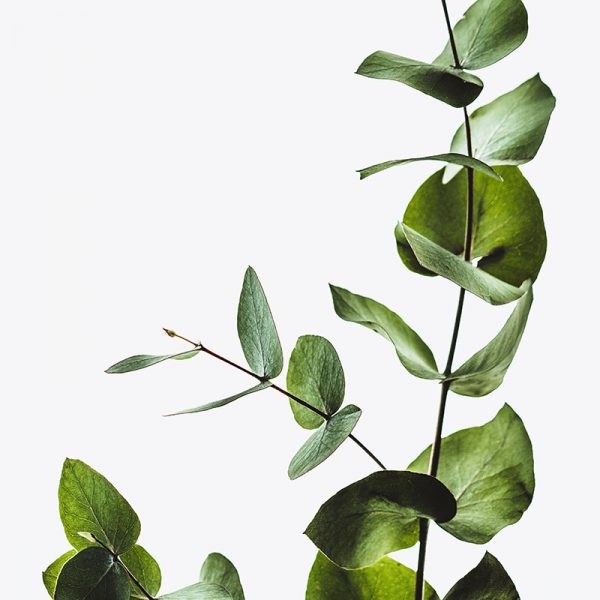 Single Wreath Easel – Every Blooming Thing